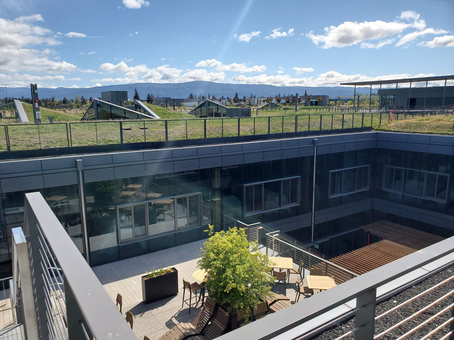 Portfolio - Shums Coda